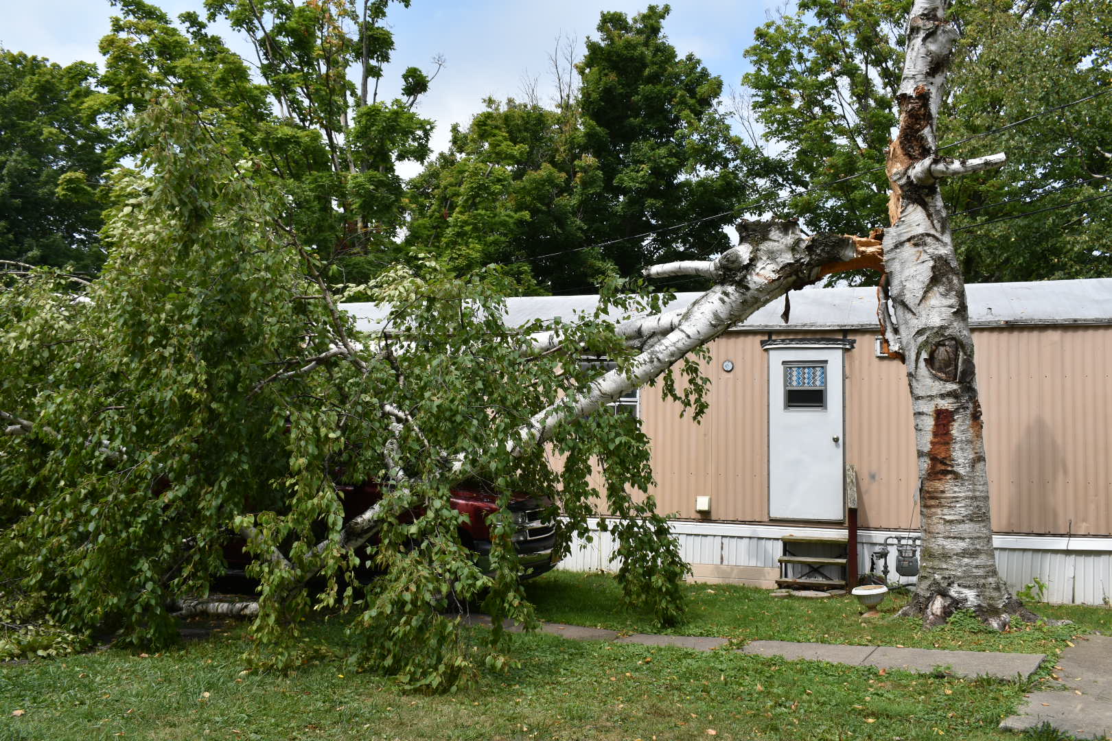 Large branch comes down on vehicles, home | News, Sports, Jobs ...